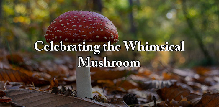 Celebrating the Whimsical Mushroom – Chadds Ford Jewelry